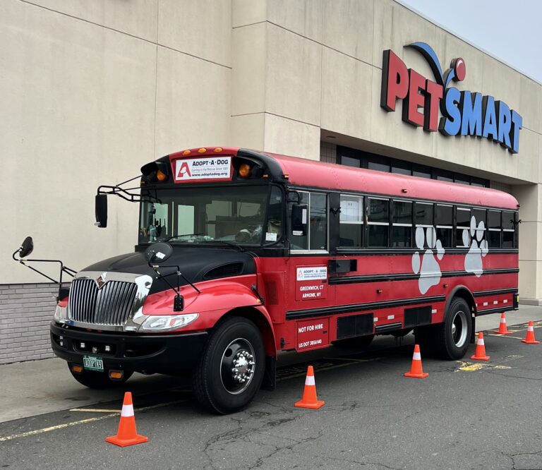 Meet Adoptable Dogs at PetSmart Norwalk, CT - Adopt-A-Dog